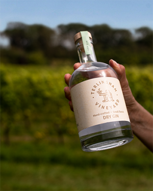 UK Times World’s Best New Gins | Best New Bacchus Gins UK